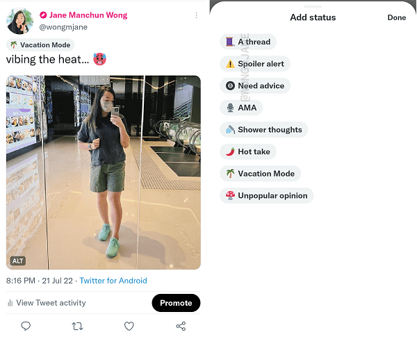 Twitter Luncurkan Fitur Twitter Status